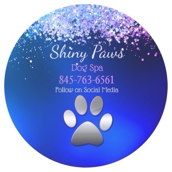 Shiny Paws Dog Spa | Book Your Appointment Online Now