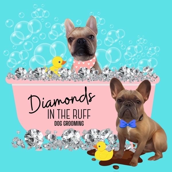 Diamond’s in the Ruff | Book Your Appointment Online Now
