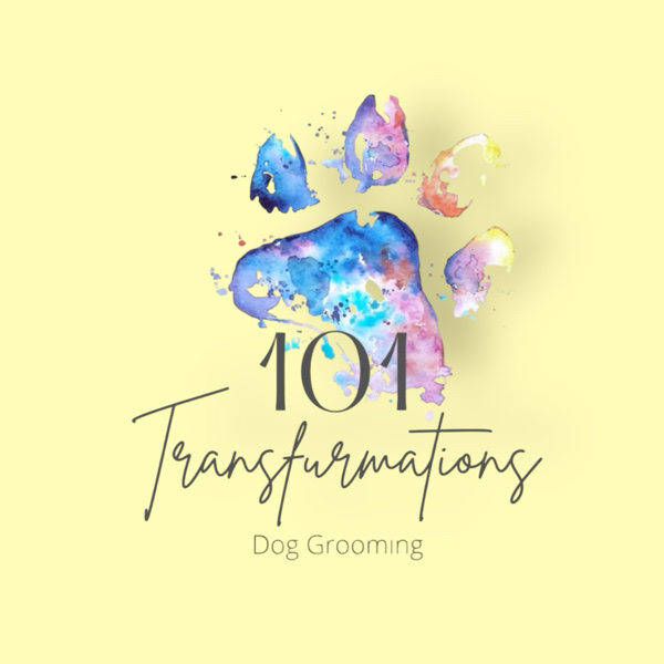 101 Transfurmations | Book Your Appointment Online Now