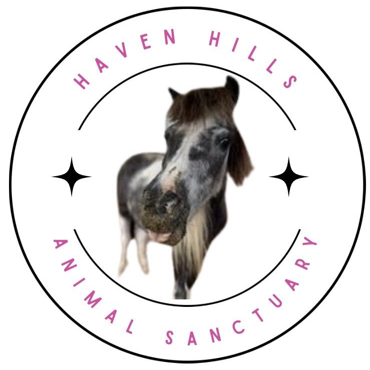 Haven Hills Animal... | Book Your Appointment Online Now